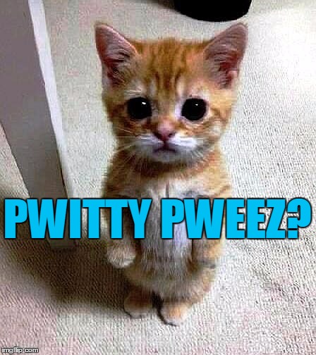 Don't even imply REPOST 'cause I just thought this one up myself - Imgflip