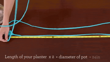 Animated GIF - Imgflip