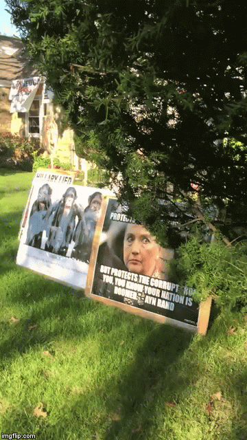 The meme campaign - Imgflip