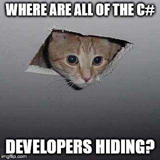 Ceiling Cat Meme - Imgflip