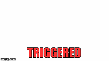 Triggered Gif Maker Triggered Memes & GIFs Imgflip