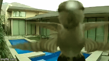 Hummingbird - Imgflip