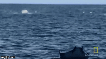 "I Believe I Can Fly" - Imgflip