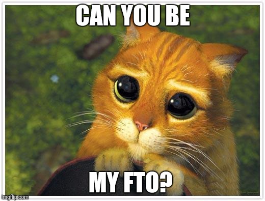 Shrek Cat Meme - Imgflip