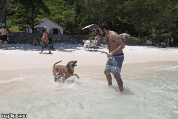 com o tio Lucas - Imgflip