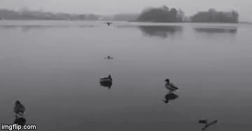 Smooth landing - Imgflip