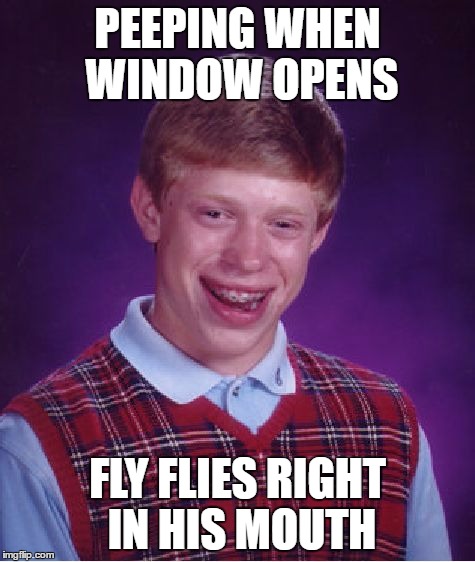 the boy & the fly - Imgflip