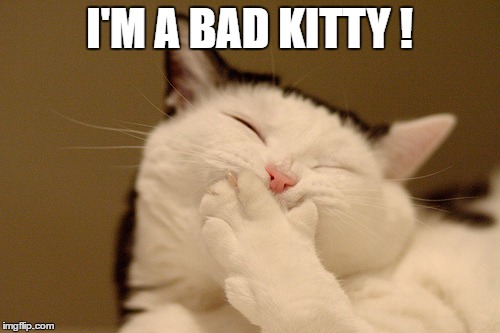 What Did I Do Wrong?! - Imgflip