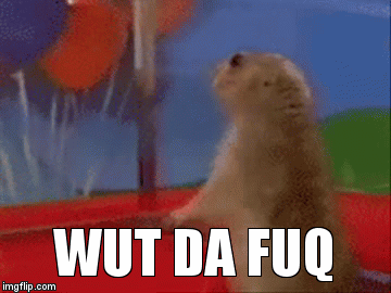 WUT - Imgflip