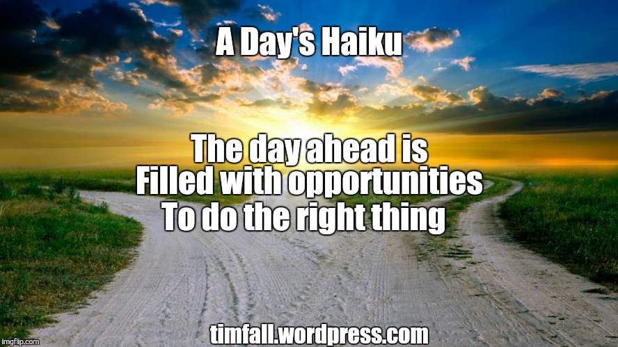 A Day's Haiku - Imgflip