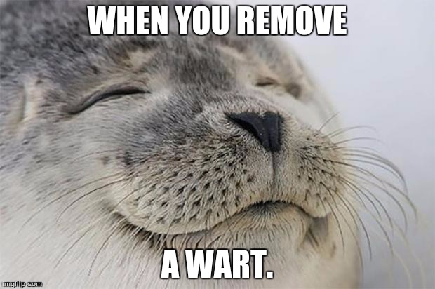 Satisfied Seal Meme - Imgflip