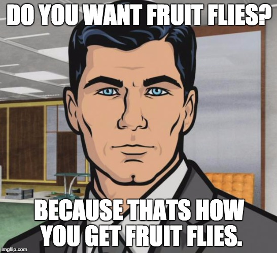 Archer Meme - Imgflip