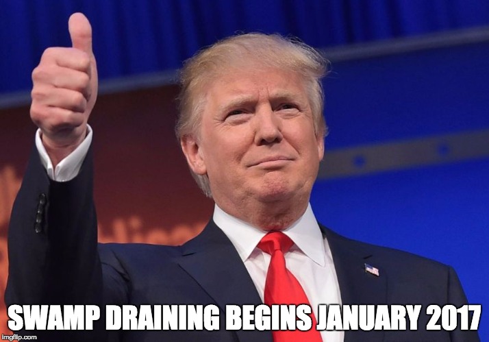 Swamp Draining Begins January 2017 - Imgflip
