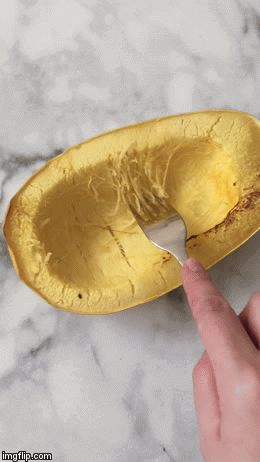 Speg Squash - Imgflip