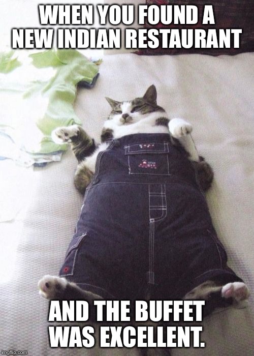 Fat Cat Meme - Imgflip