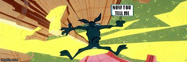 Wile E. Coyote roadrunner - Imgflip