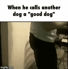 Ive Got Your Back Memes Gifs Imgflip Images