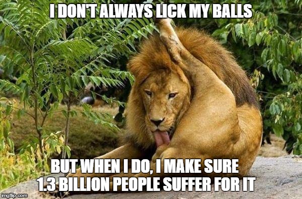 lion licking balls - Imgflip