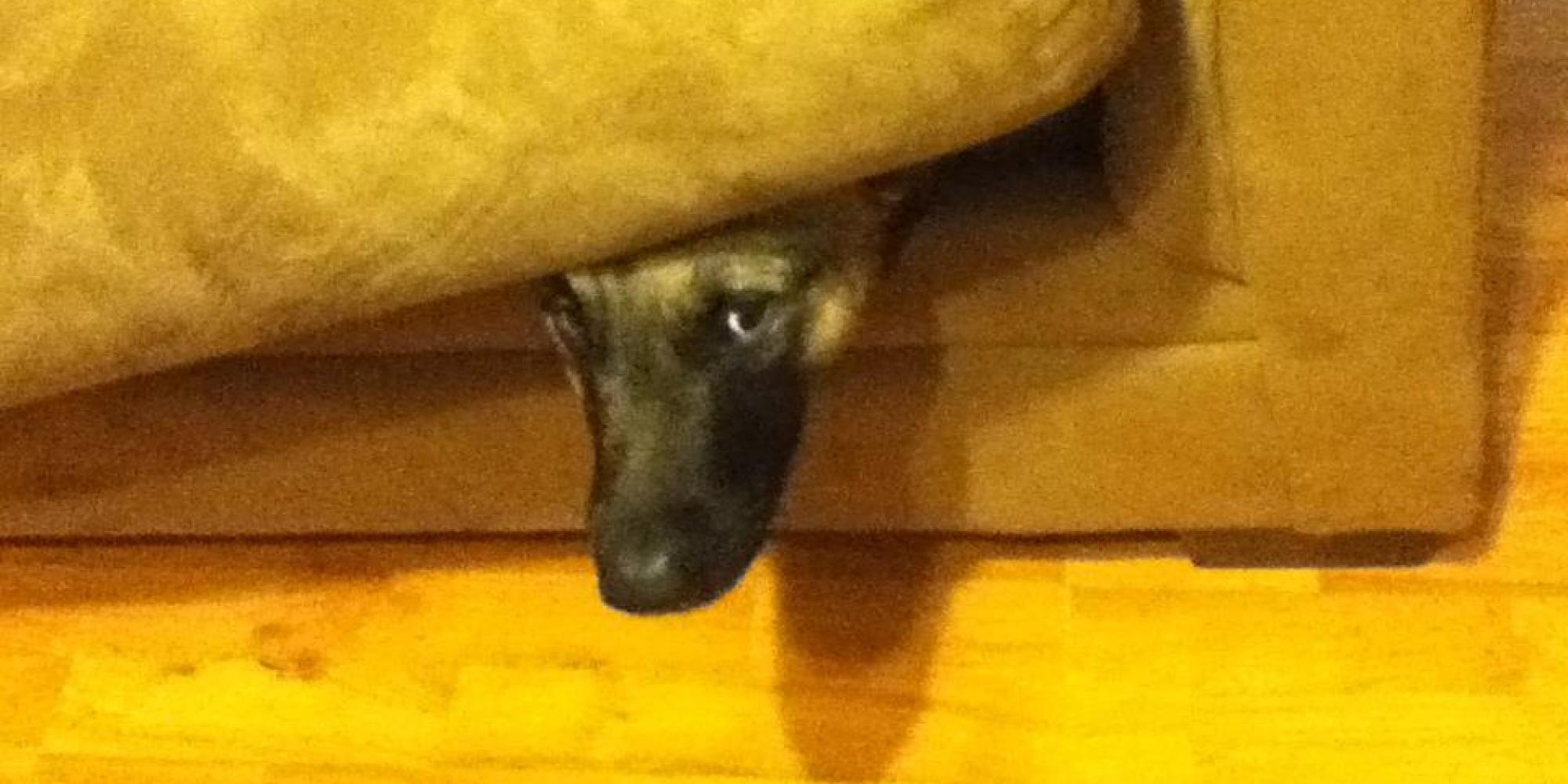  hiding Meme Templates Imgflip