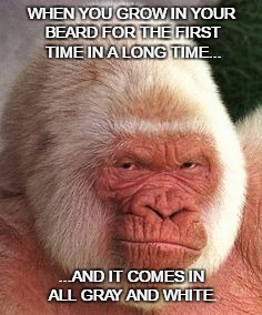 Image tagged in beards - Imgflip