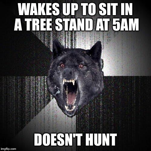 Insanity Wolf Meme - Imgflip