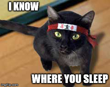 Bah Humbug - Imgflip