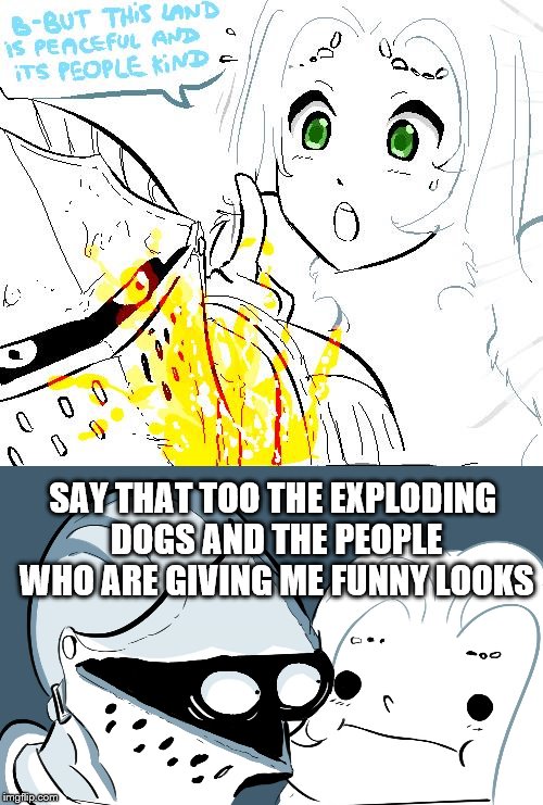 I'm Surprised They Got The Helmet To Stay On The Dog's Head - Imgflip