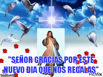 Gracias Señor Gif