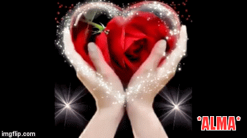 Animated GIF - Imgflip