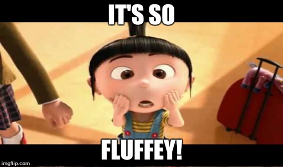 A Cat Fish ≧^ ^≦ - Imgflip