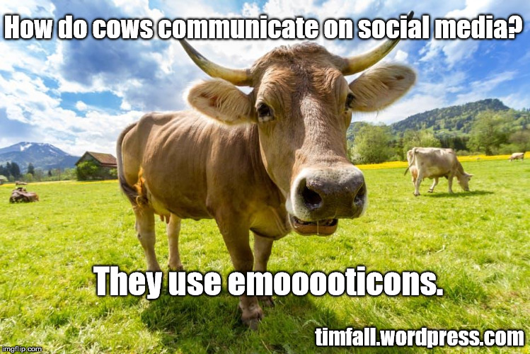 Social Media Bovines - Imgflip