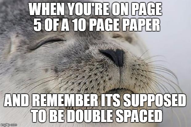 Satisfied Seal Meme - Imgflip