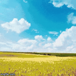 well... this explains a lot. - Imgflip