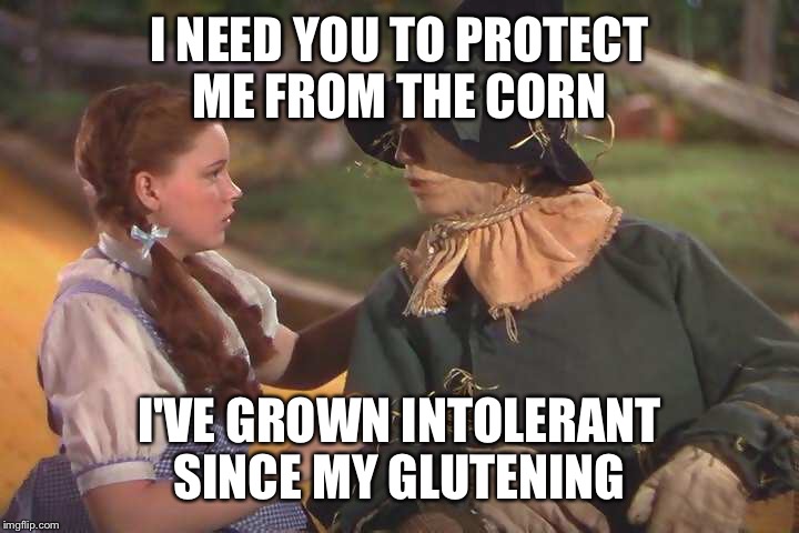 Dorothy and scarecrow - Imgflip