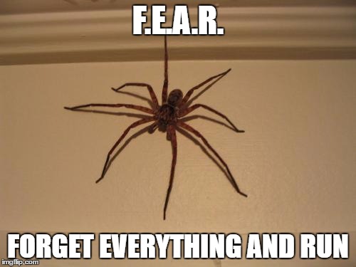 Scumbag Spider - Imgflip
