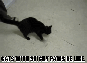 Cats with sticky paws. - Imgflip