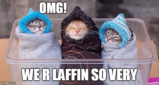 Cat Attack - Imgflip