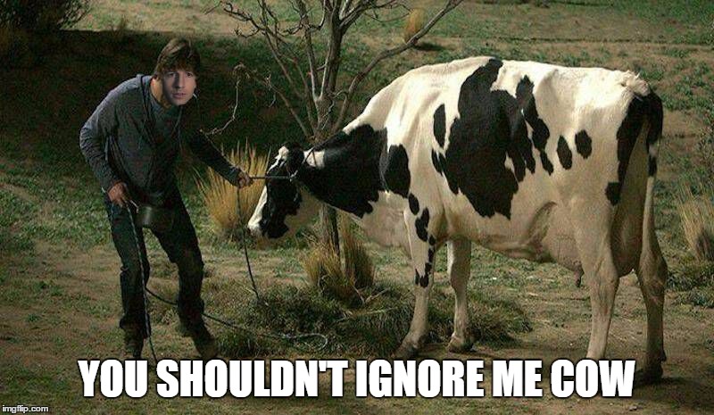 Image tagged in ignore cow - Imgflip