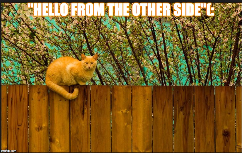 Image tagged in hello from da other side - Imgflip