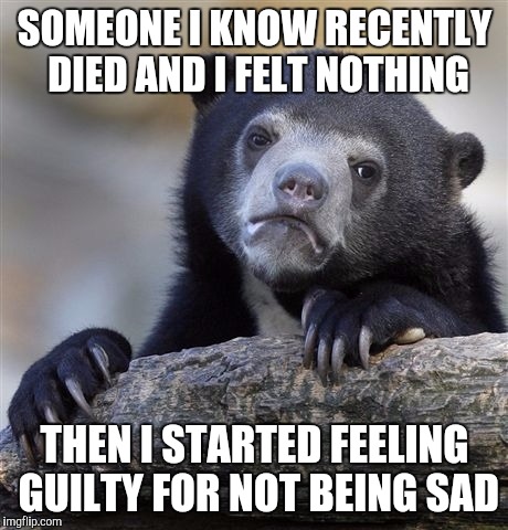 Confession Bear Meme - Imgflip