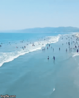 on the beach - Imgflip