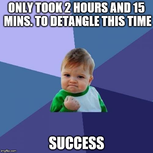 Success Kid Meme - Imgflip