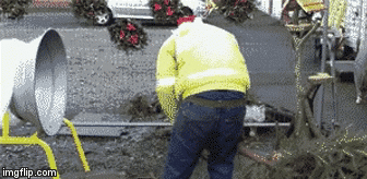 Christmas tree prank - Imgflip