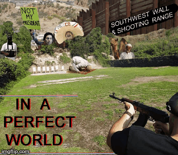 In a Perfect World - Imgflip