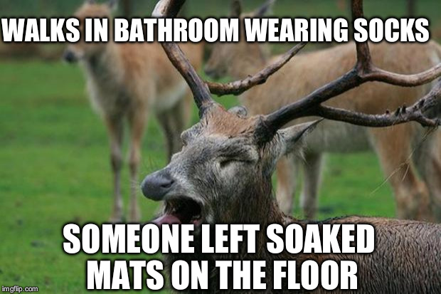 Disgusted Deer - Imgflip