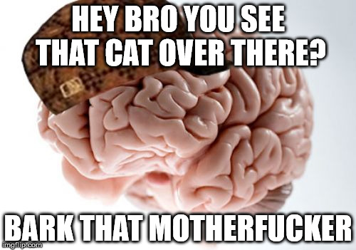Scumbag Brain Meme - Imgflip