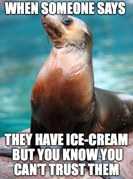 Image tagged in sealion with sass - Imgflip