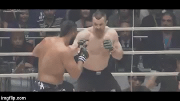mirko cro cop champion - Imgflip