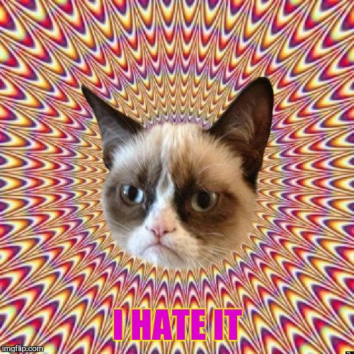 Here's a trippy cat gif to start off your New Year with!!! - Imgflip