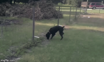 The tingle when you tinkle on an electric fence! - Imgflip